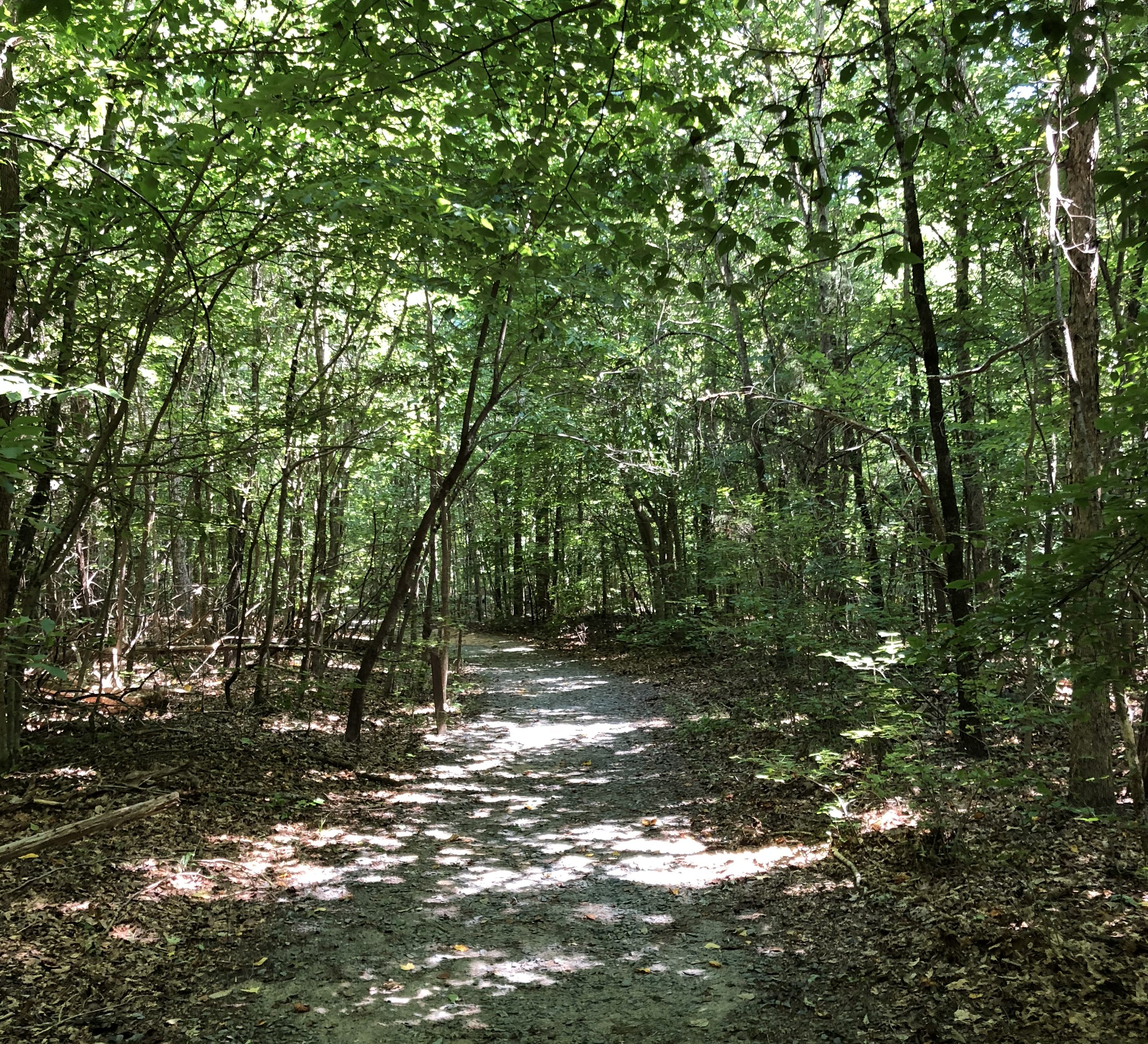 Trail and Error: Find the Best Hiking Trails for YOU!