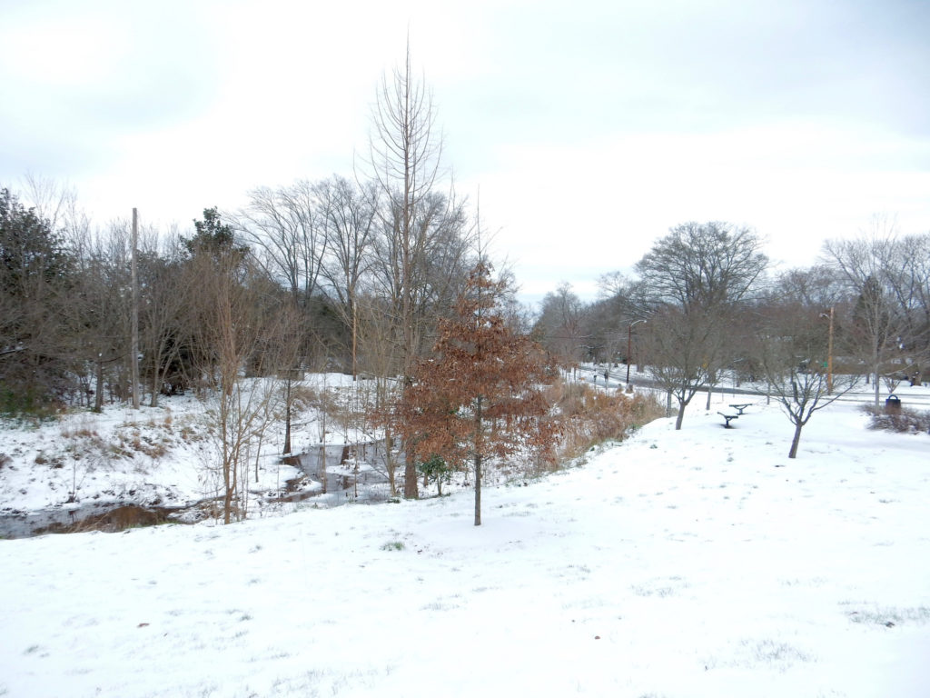 Putting the Cold on Hold: 8 Things to Do Indoors on a Winter Day ...