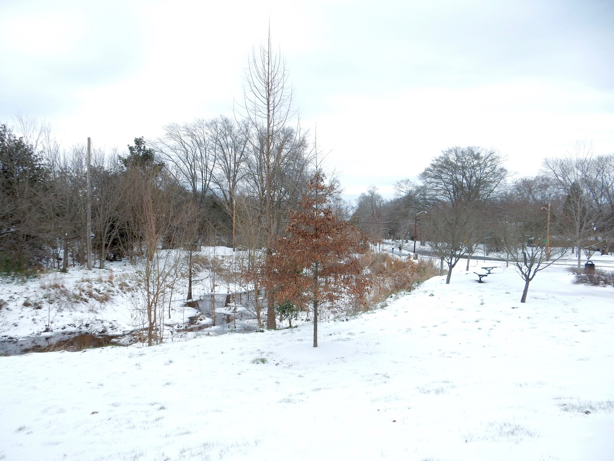 Putting the Cold on Hold: 8 Things to Do Indoors on a Winter Day ...