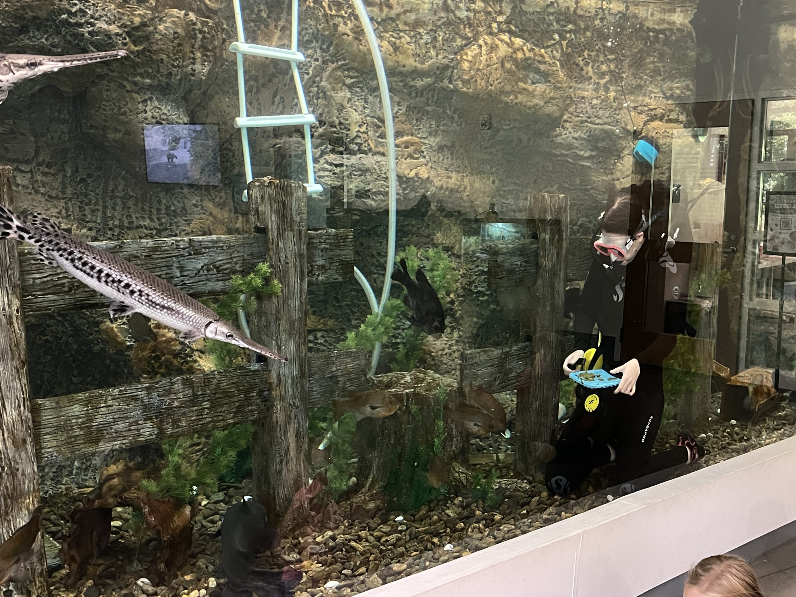 Deep Dive: Meet Our Aquarist and Life Inside the Tank